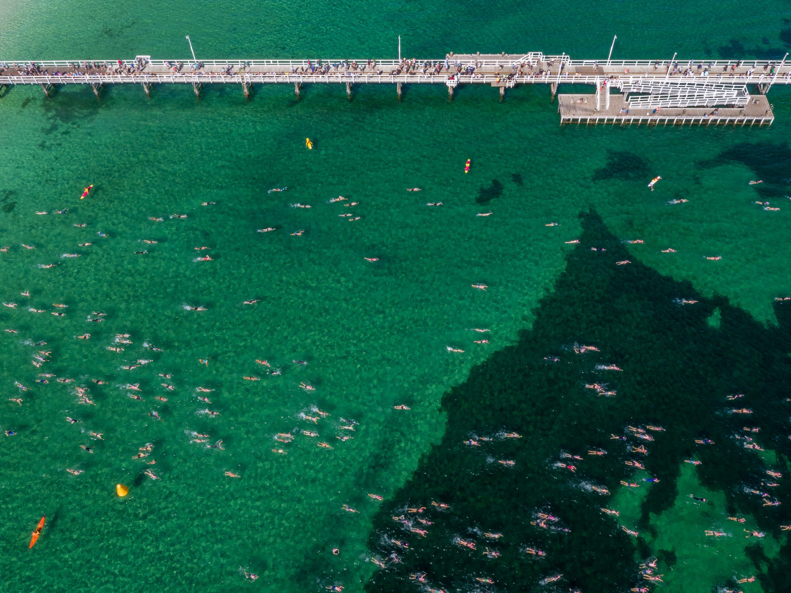 Jetty Swim - Busselton Jetty