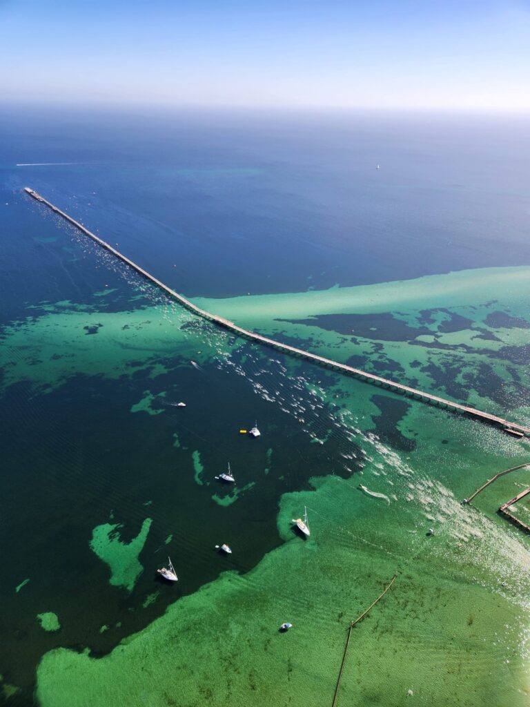 Jetty Swim - Busselton Jetty