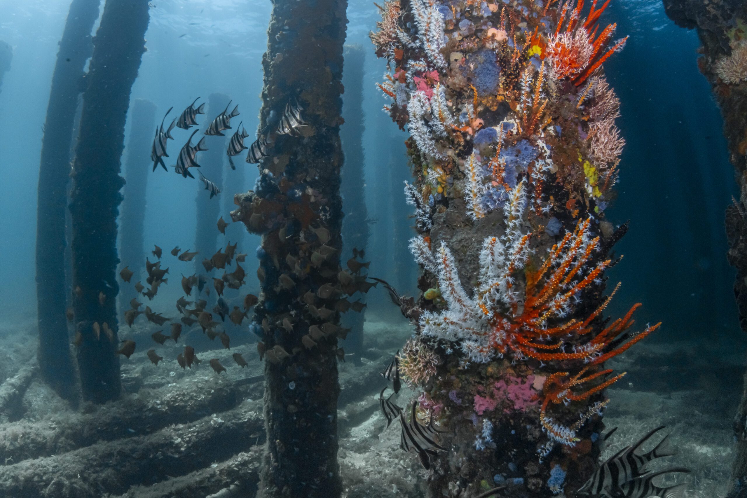 Busselton Underwater Observatory - Busselton Jetty