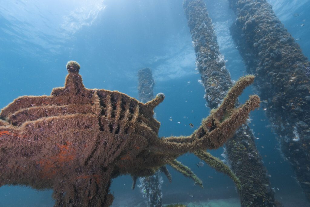 Underwater Sculpture Park - Busselton Jetty