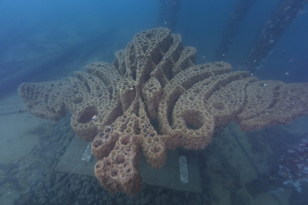 Underwater Sculpture Park - Busselton Jetty