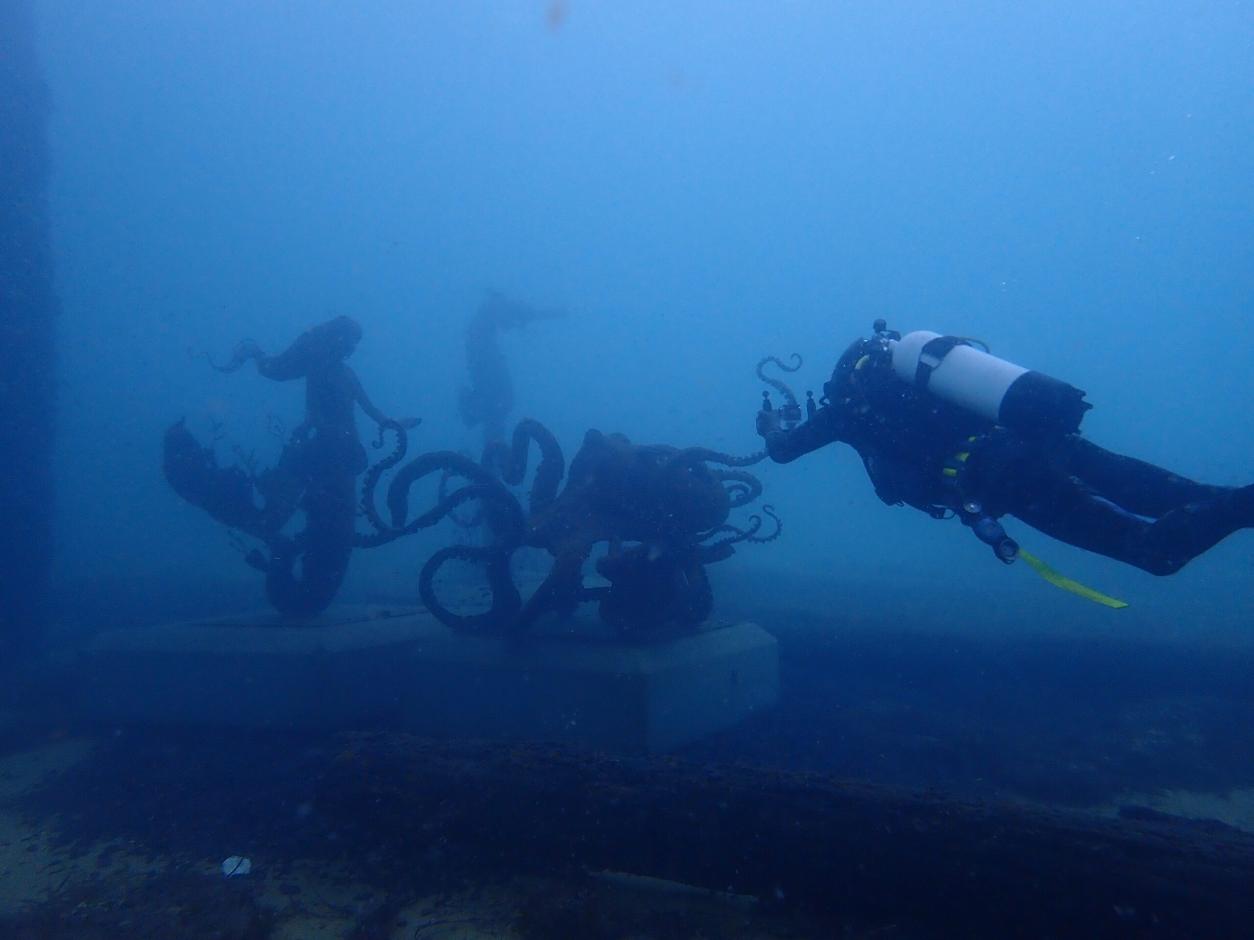 Artificial Reefs - Busselton Jetty