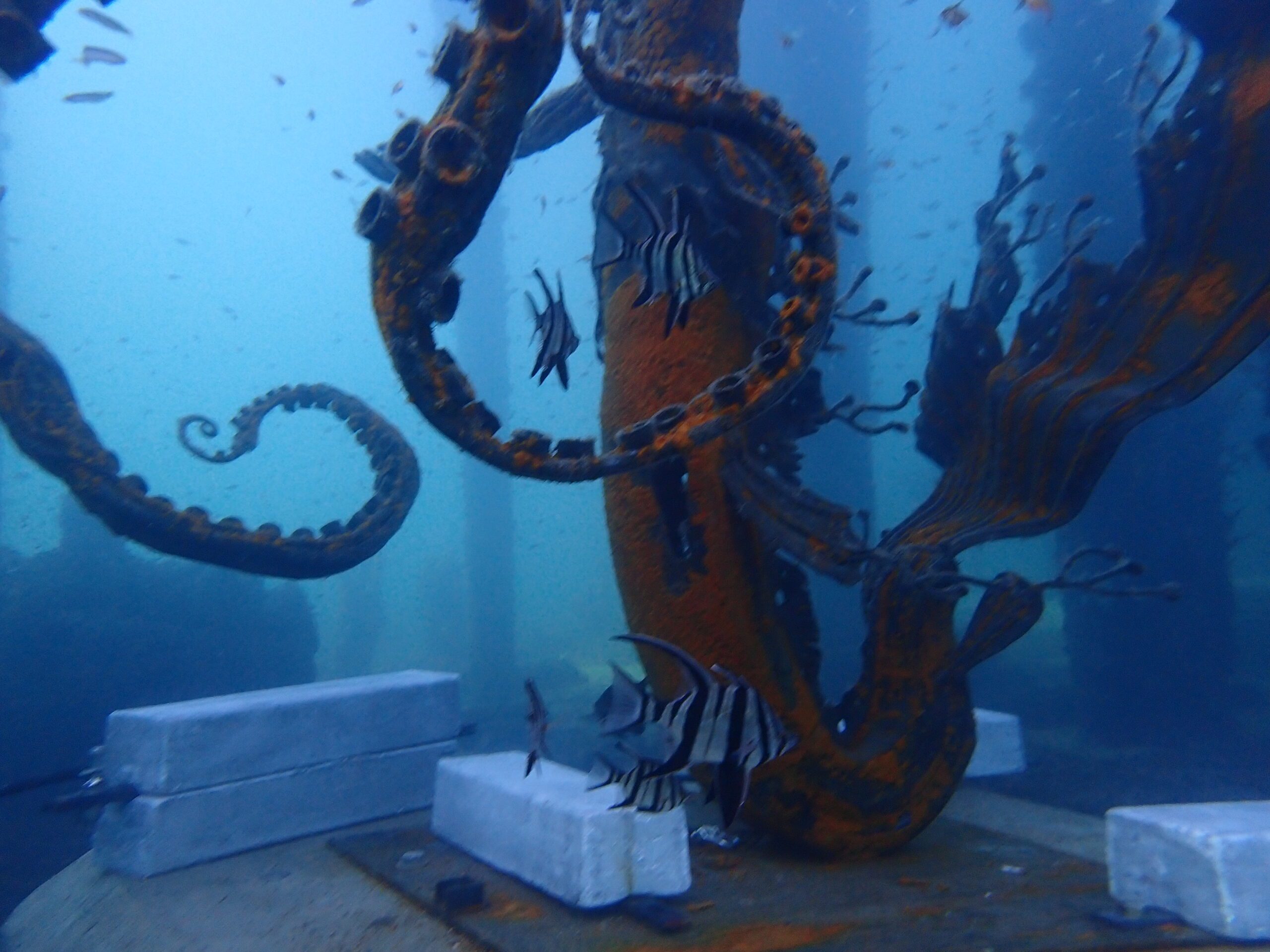 The Mermaid's Muse - Busselton Jetty