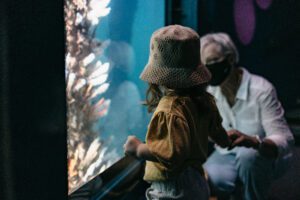 Busselton Underwater Observatory - Busselton Jetty