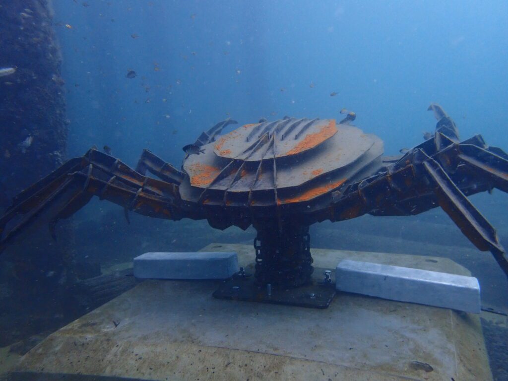 The Crab & The Shark - Busselton Jetty