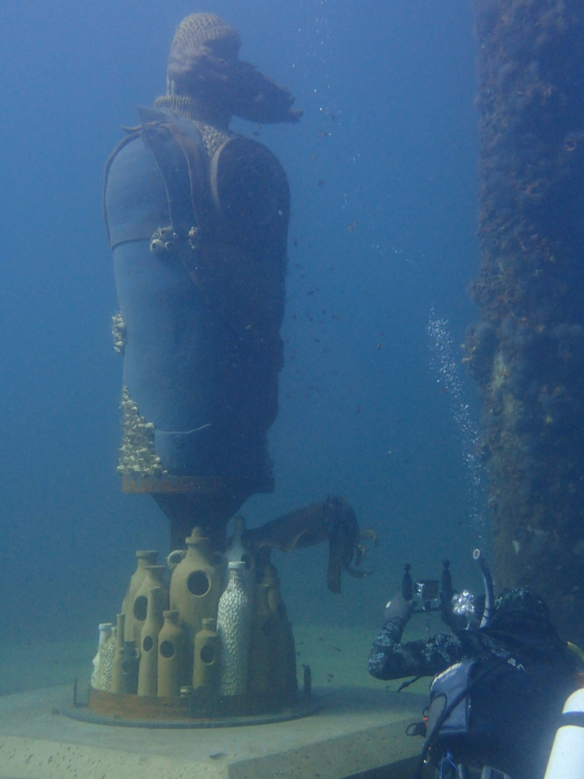 Artificial Reefs - Busselton Jetty