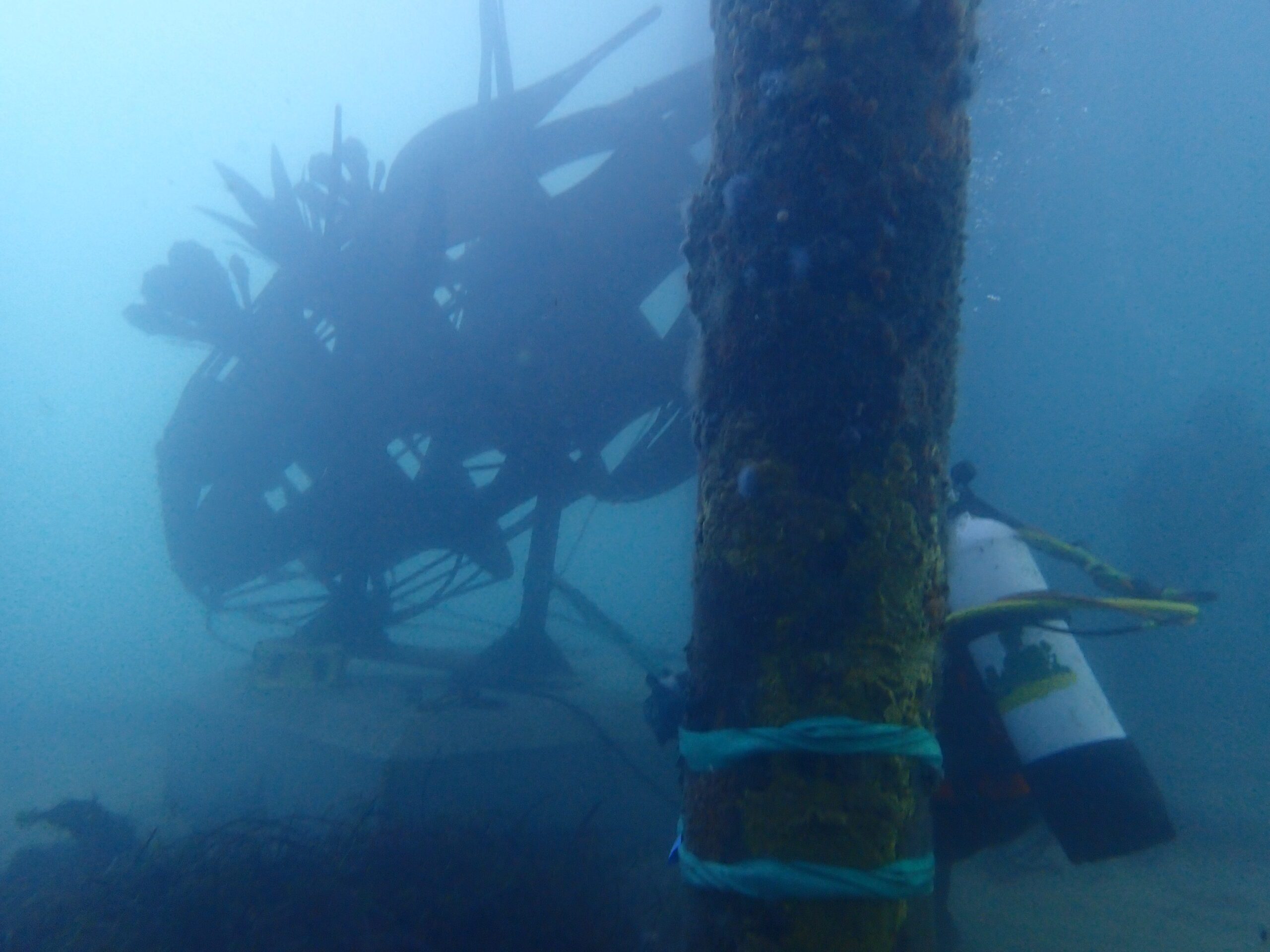 Queen of the Bay - Busselton Jetty