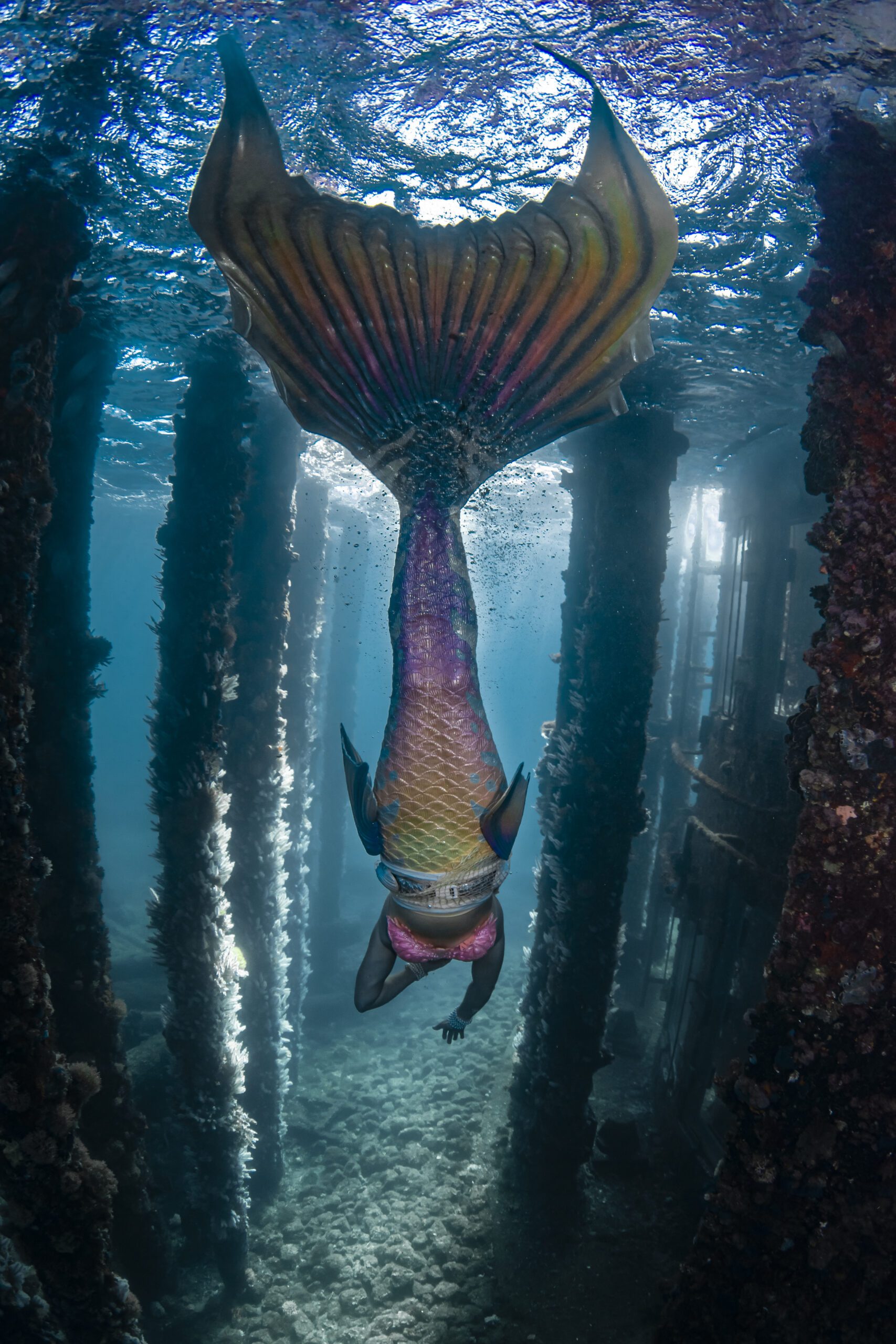 Mermaid Tours - Busselton Jetty