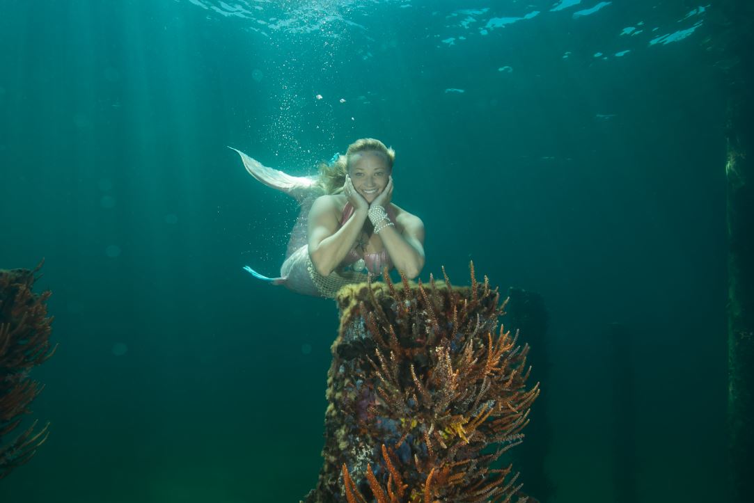 Mermaid Tours - Busselton Jetty