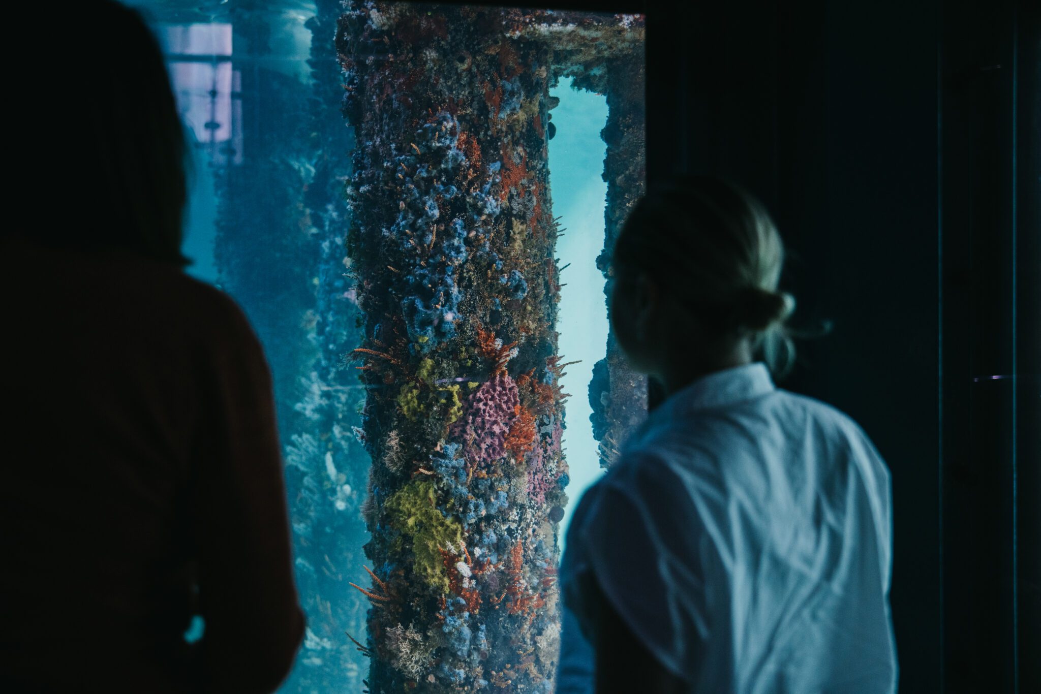 Accessibility - Busselton Jetty