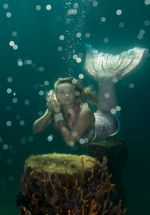 Mermaid Tours - Busselton Jetty
