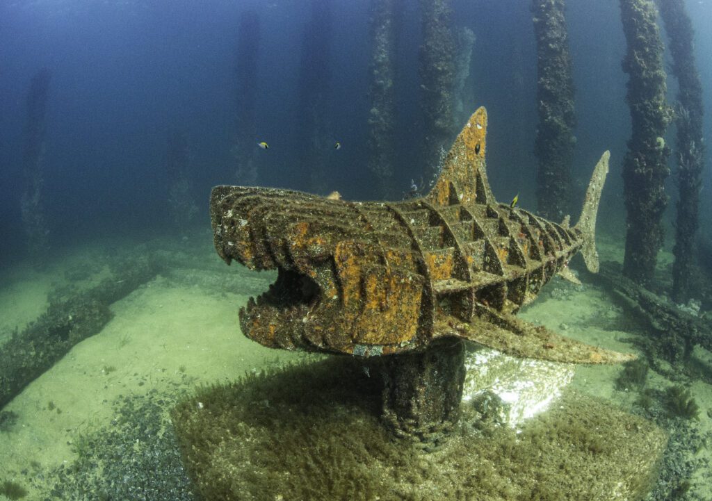 Busselton Jetty - Experience the Magic of 1 Day at Busselton Jetty